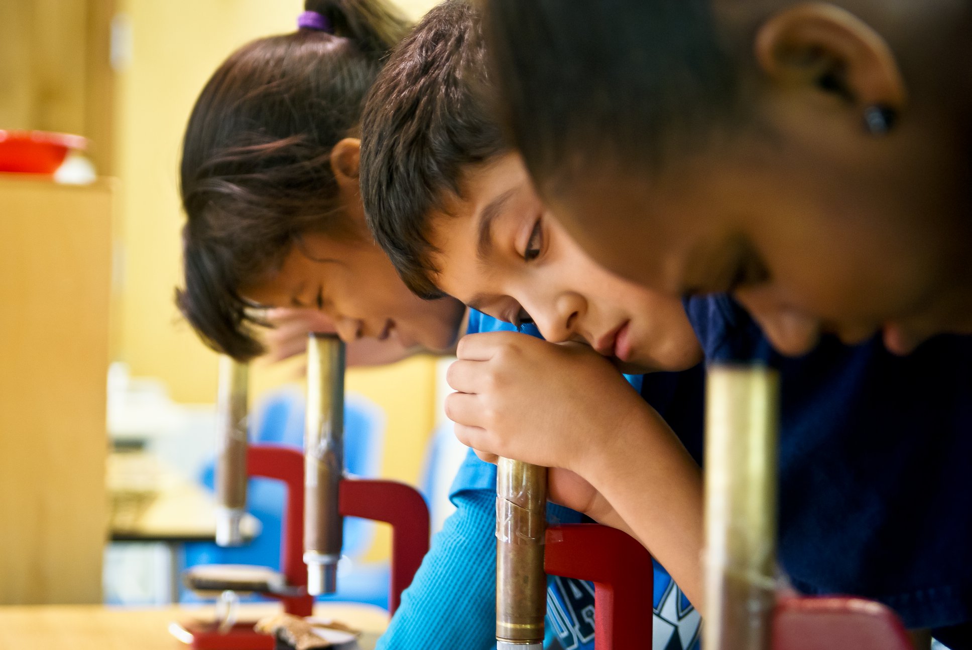 Homeschool Clubs | River Legacy Foundation