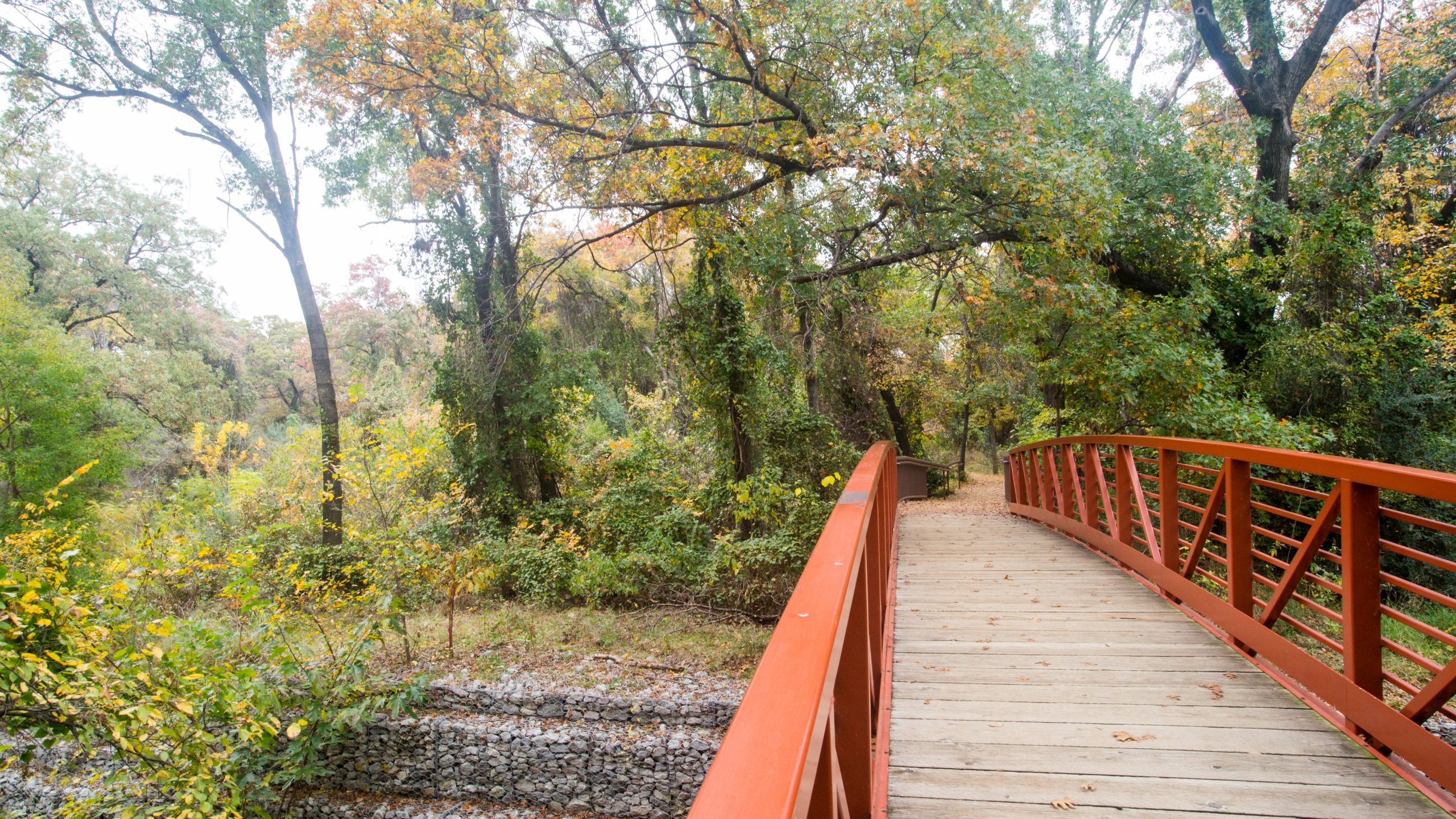 Contact | River Legacy Foundation