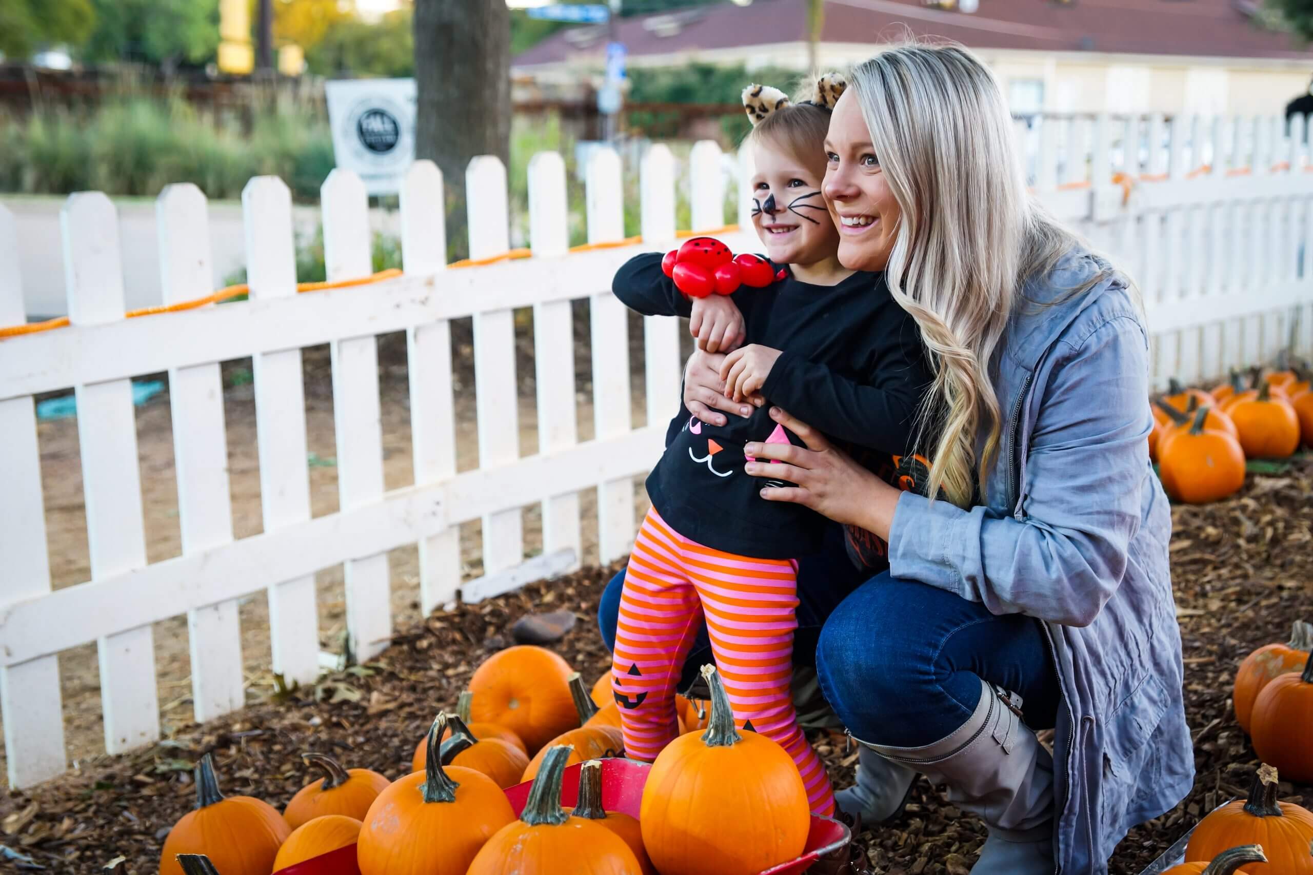 Fall Festival | River Legacy Foundation