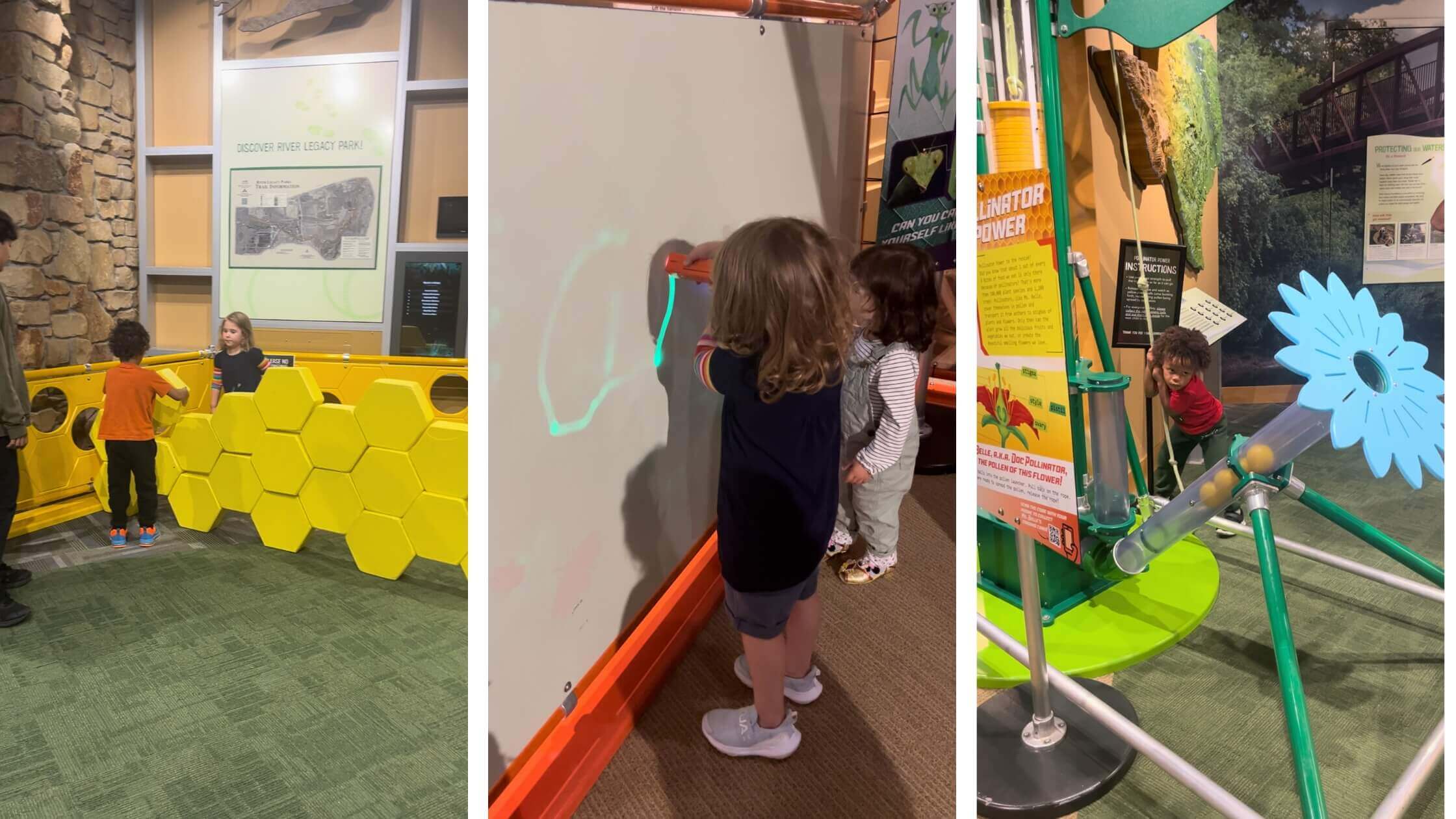 Bug Squad Grand Opening a Buzzing Success at River Legacy Nature Center ...